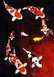 KOI PAINTINGS, KOI ART, KOI WATERCOLOR, CODY TURTLE